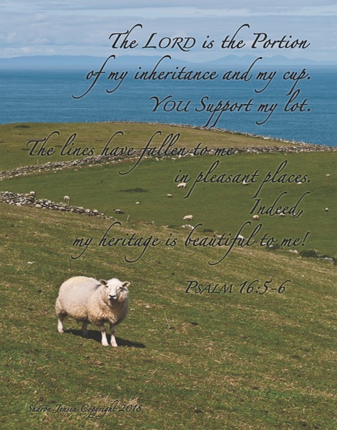 Psalm 16:5-6 (11X14) | Word Center Ministries | Sharon Jensen
